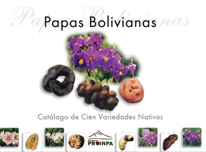 Variedades de papa - Fundación PROINPA